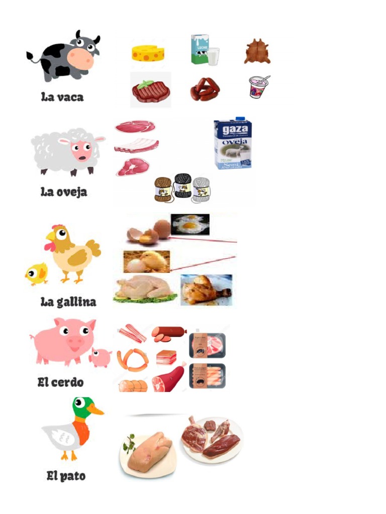 Animales De La Granja Y Sus Derivados Pdf