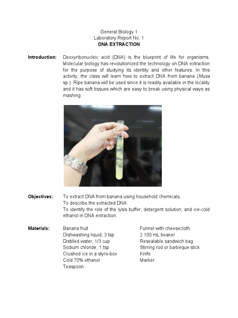 DNA Extraction | PDF | Dna | Cell (Biology)