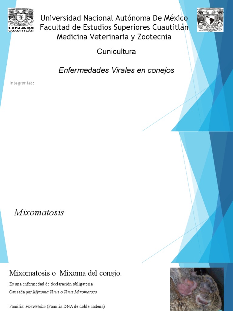 Enfermedades Virales en Conejos (Mixomatosis) | PDF | Virus | Medicina ...