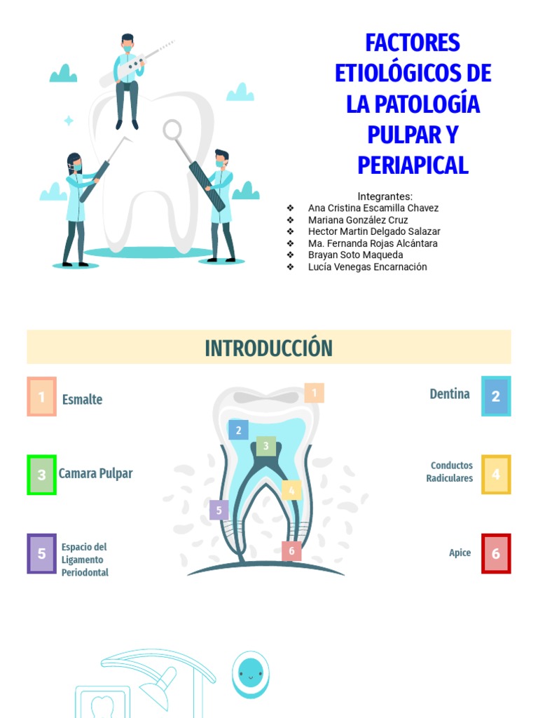 Factores Etiológicos de La Patología Pulpar y Patologia Periapical | PDF | Especialidades ...