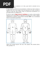Regla de Los 9 de Wallace | PDF