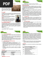 Triptico Principales Movimientos en Rusia | PDF | Imperio ruso ...