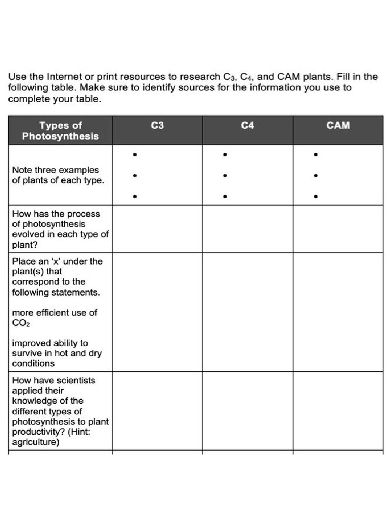 C3 C4 CAM Worksheet | PDF