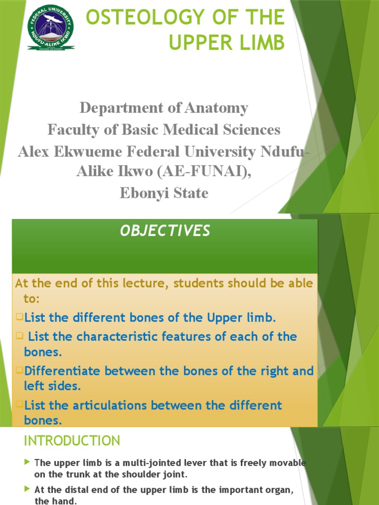 Upper Limb Osteology Overview | PDF | Hand | Joints