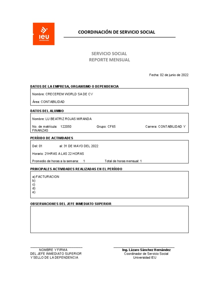Formato de Reporte Mensual SS | PDF