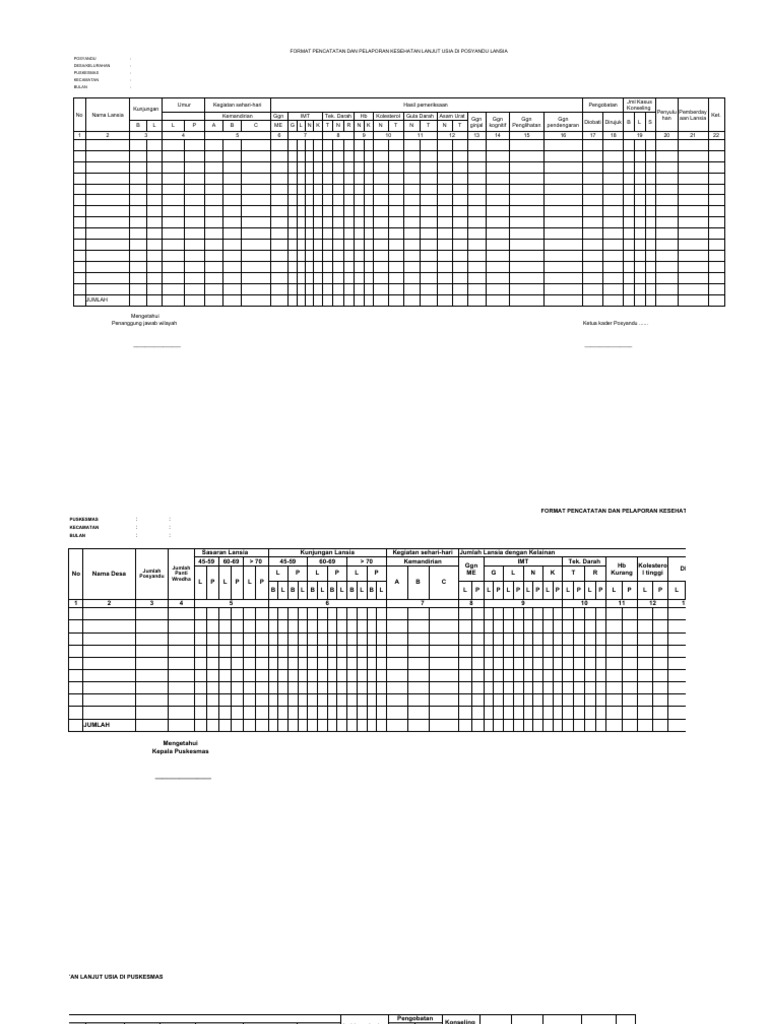 Form - Pencatatan - Dan - Pelaporan - Posyandu - Dan - Pusk | PDF