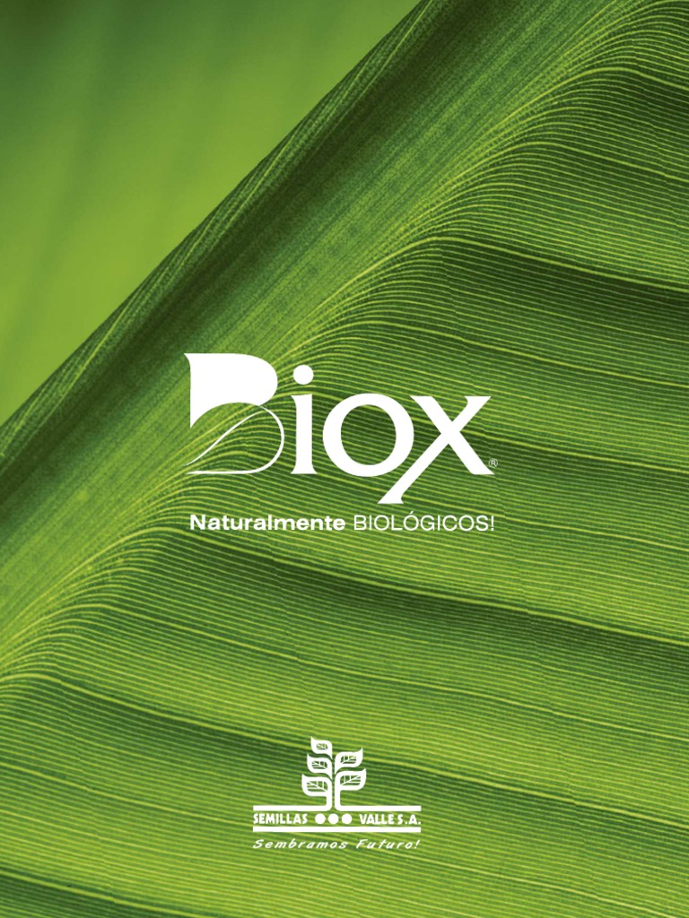 Portafolio Biox-1 | PDF