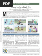 Motor Control Insights for Low Back Pain | PDF | Low Back Pain ...