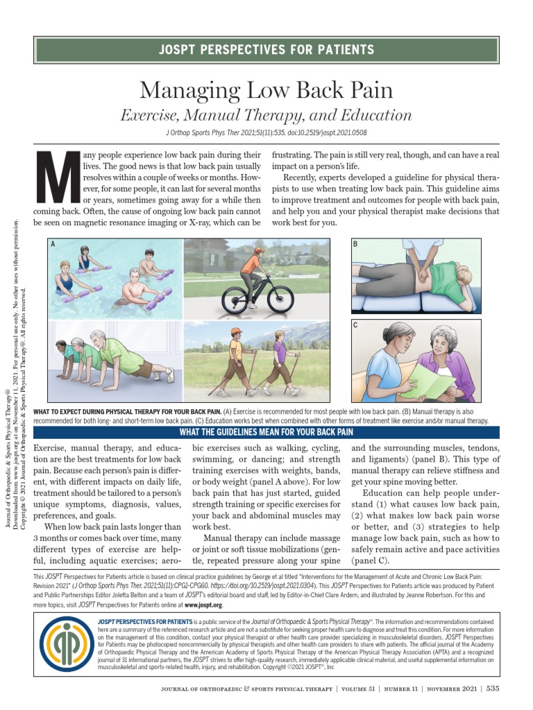 Managing Low Back Pain: Exercise, Manual Therapy, and Education | PDF ...