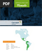 Catálogo Inix | PDF | Química de polímeros | El plastico