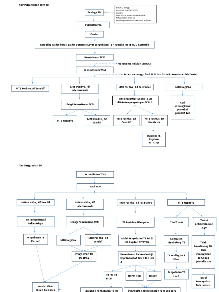 Alur Pemeriksaan TCM TB Bms Rev | PDF