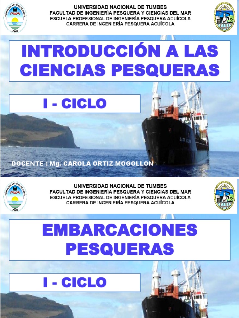 Tipos de Embarcaciones Pesqueras | PDF | Buques | Pesca de arrastre