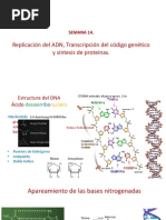 Niveles de Compactacion Del Adn | PDF | Cromatina | Cromosoma