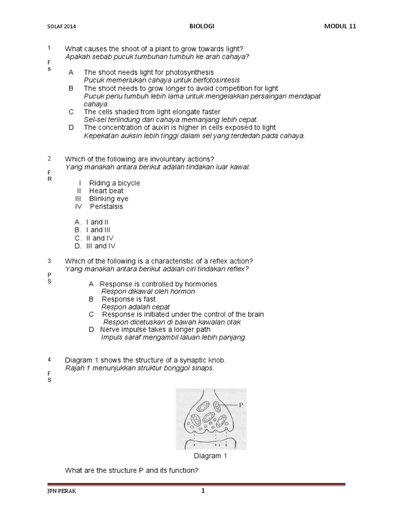 Soalan Objektif | PDF