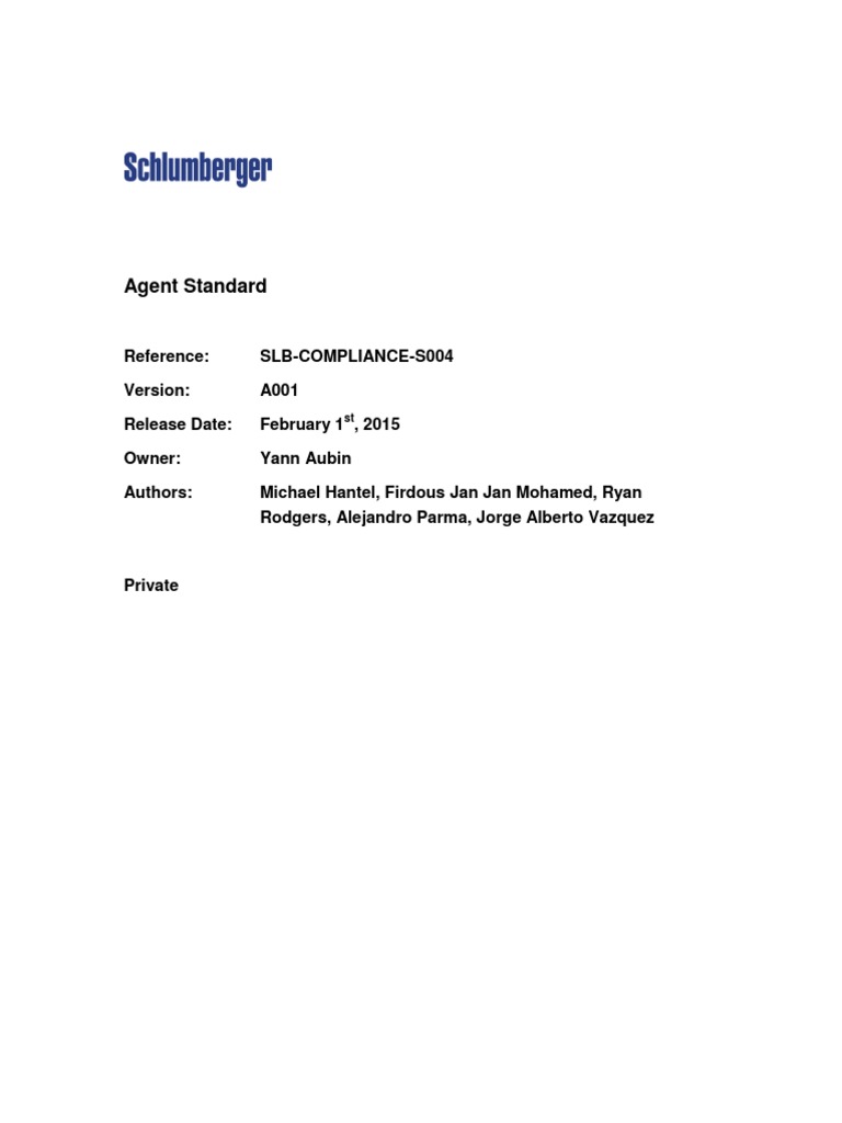 Agent Standard | PDF | Procurement | Due Diligence