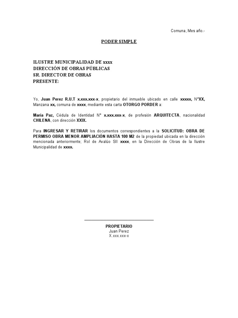 Ejemplo de Poder Simple en Chile | PDF