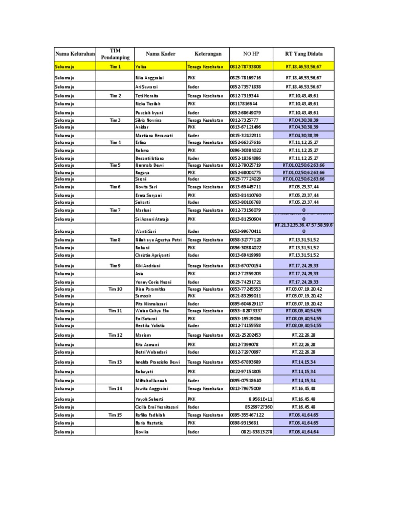 Data Tim Pendamping Desa Sukamaju dan Sialang | PDF