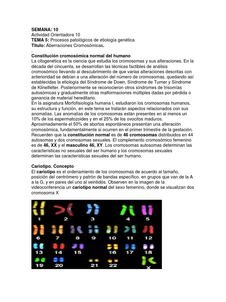 Actividad O#10 MFP I | Download Free PDF | Cromosoma | Cariotipo