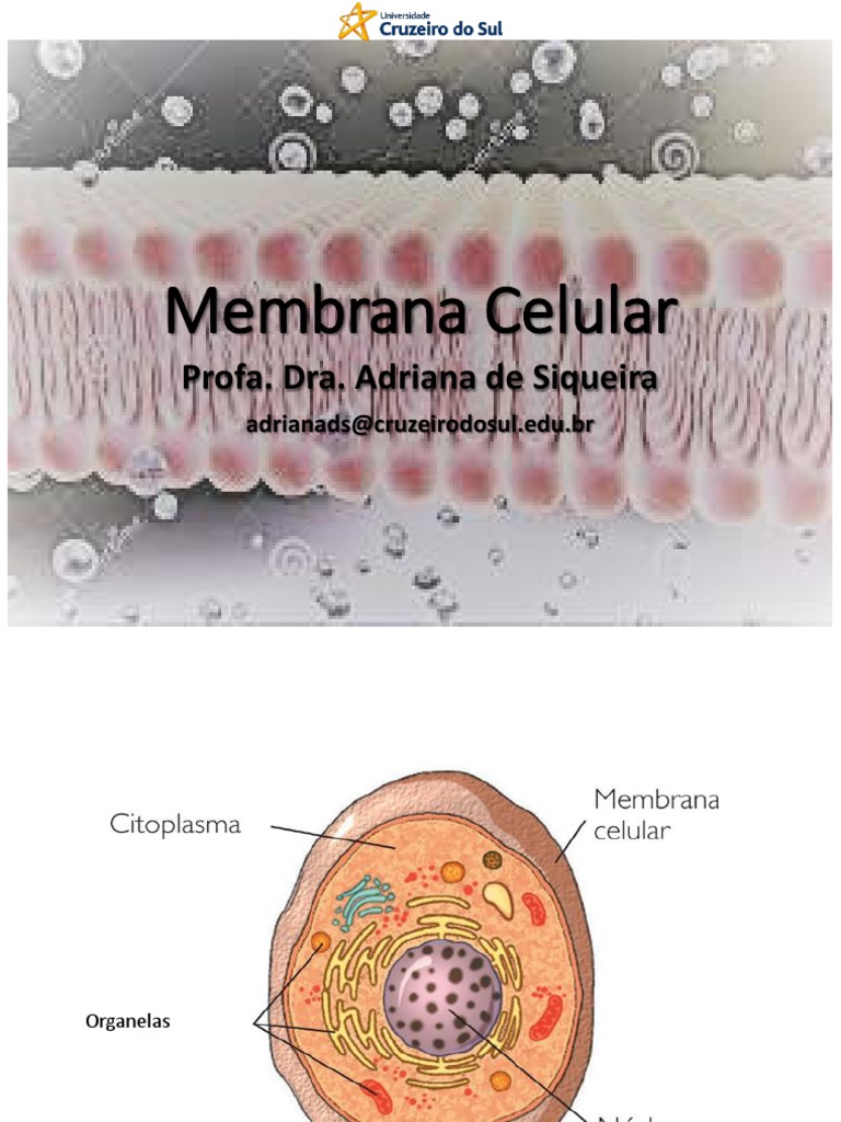 Aula 2 - Membrana Celular e Especializações de Membrana | PDF ...