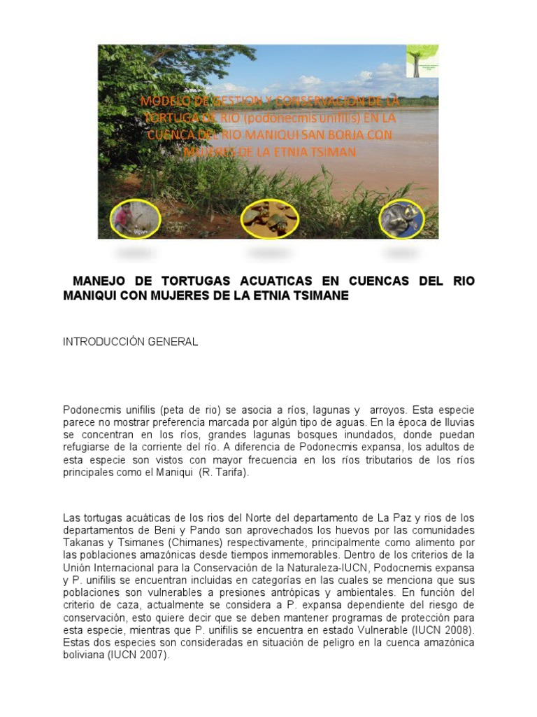 Manejo Sostenible de Peta de Río | PDF | Tortuga | Especie en peligro