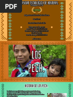 Informe Pech | PDF | Pueblos Indígenas de las Américas