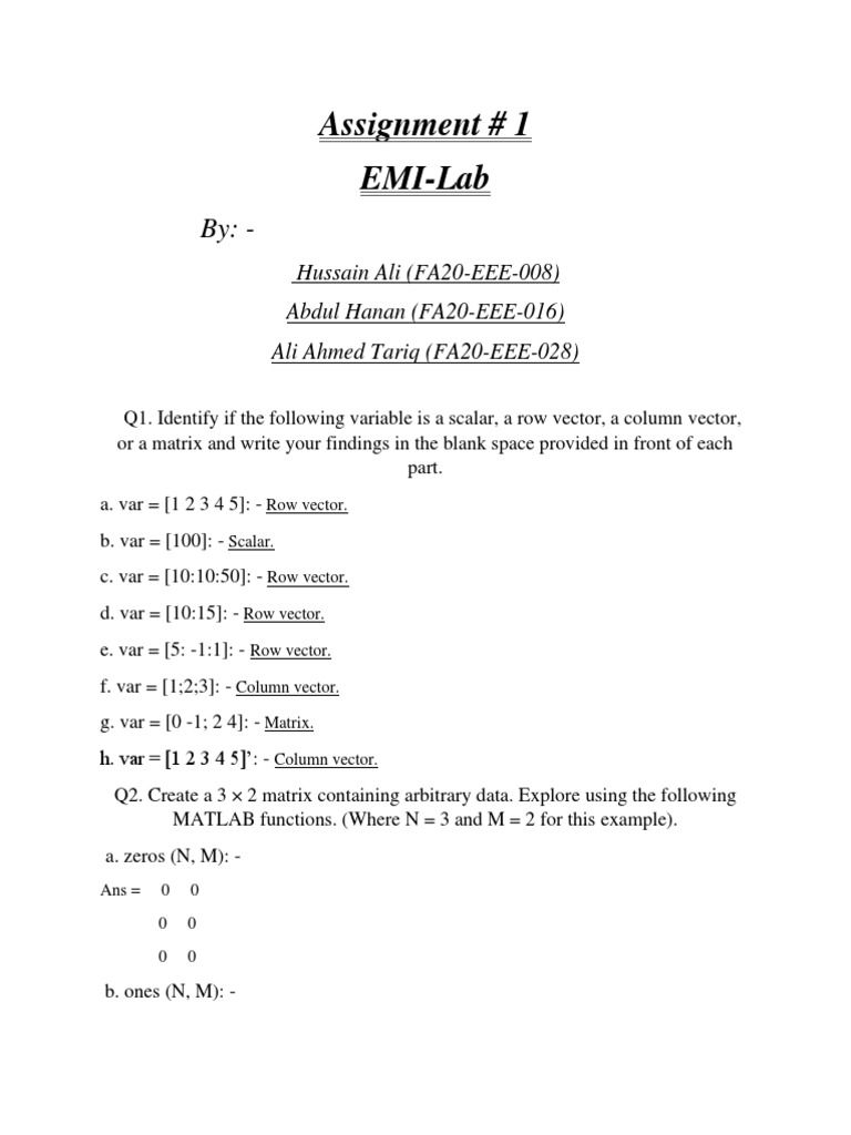 Assignment 1 Lab | Download Free PDF | Matrix (Mathematics) | Function ...