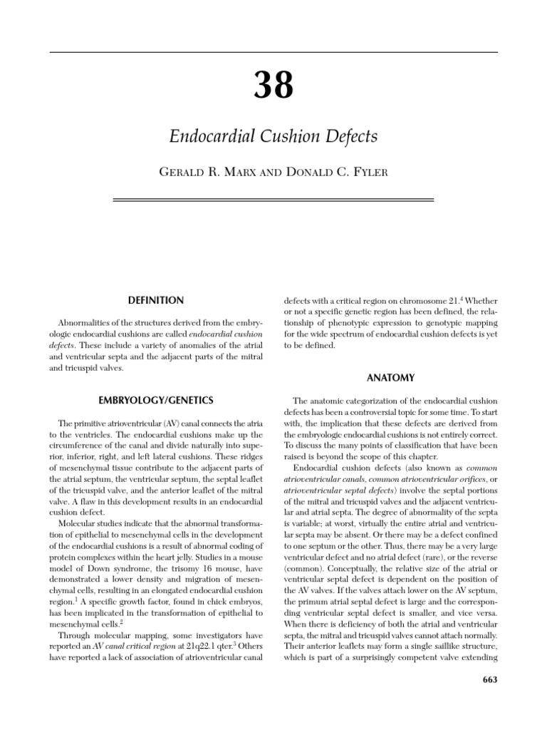 Understanding Endocardial Cushion Defects | PDF | Heart Valve ...