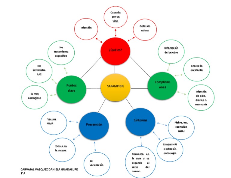 Diagrama Radial | PDF | Sarampión | Inmunología