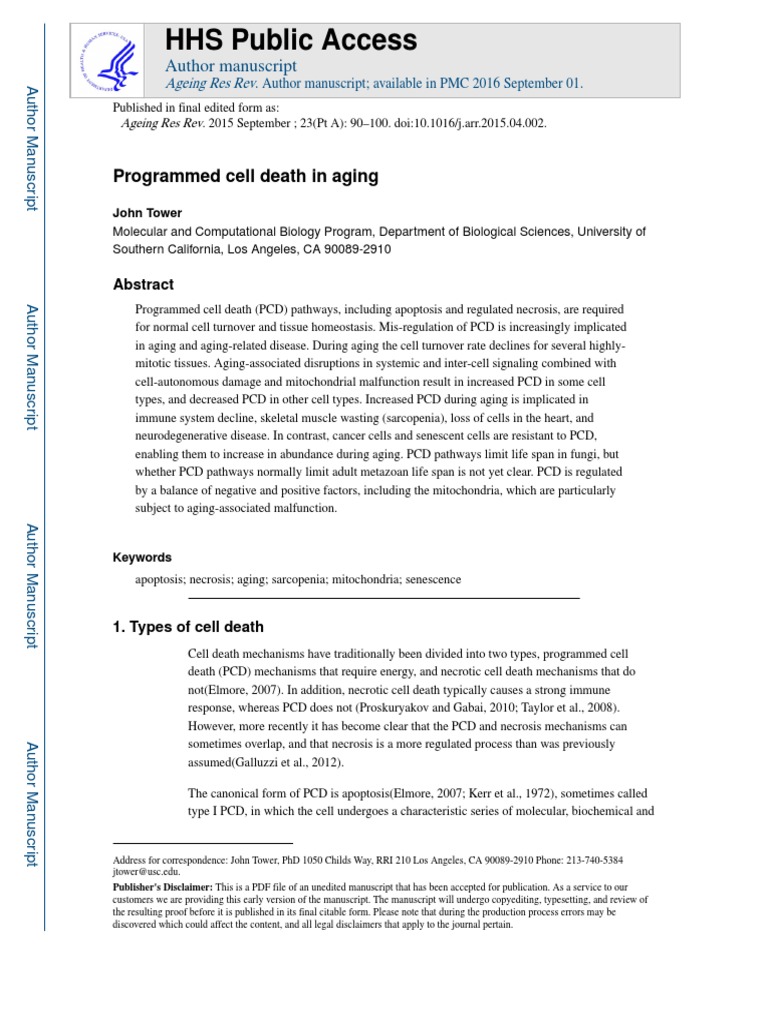 Programmed Cell Death in Aging | PDF | Apoptosis | P53