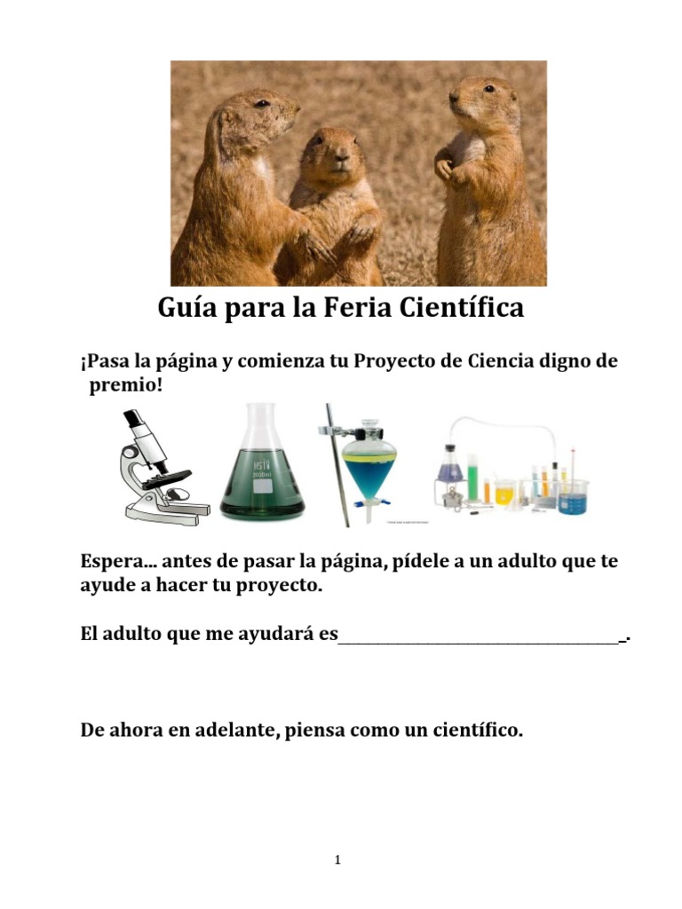 Science Fair Packet - Spanish | PDF | Experimentar | Hipótesis