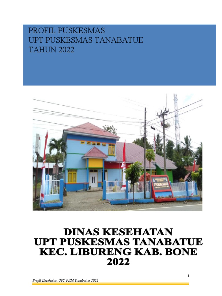 Profil UPT PKM Tanabatue | PDF