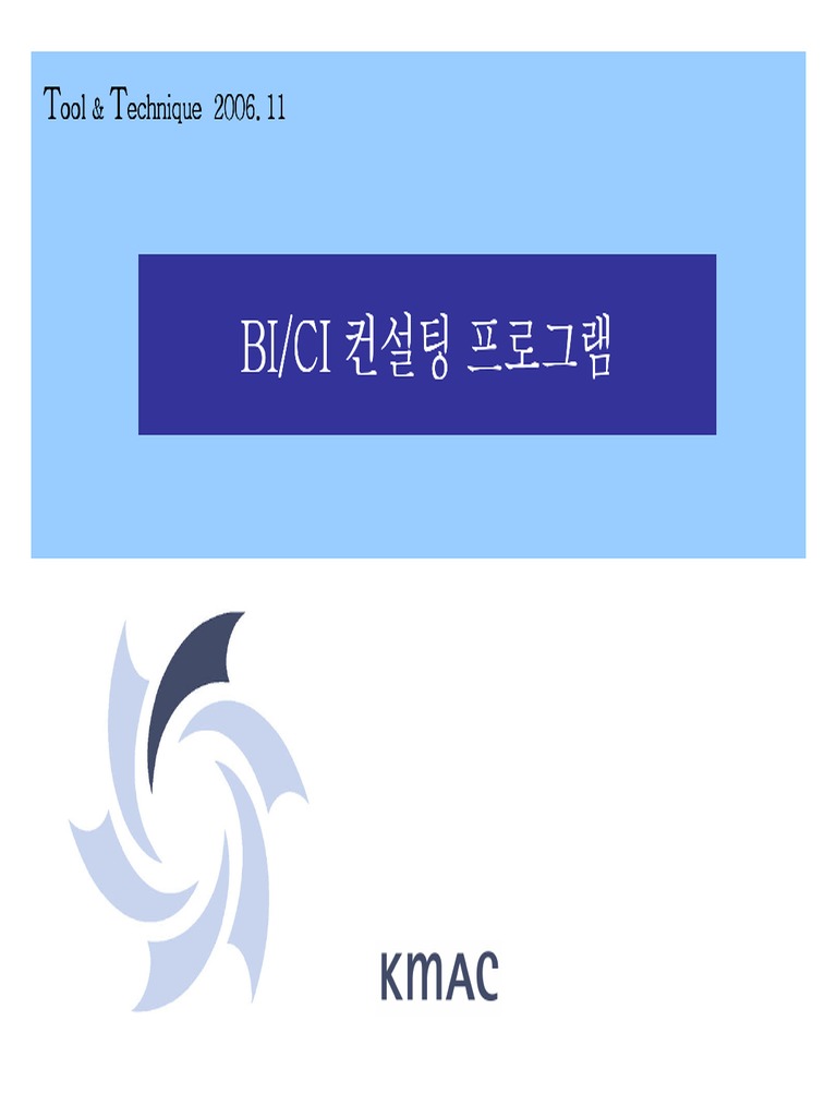 BI CI 컨설팅 프로그램 - 1 | PDF