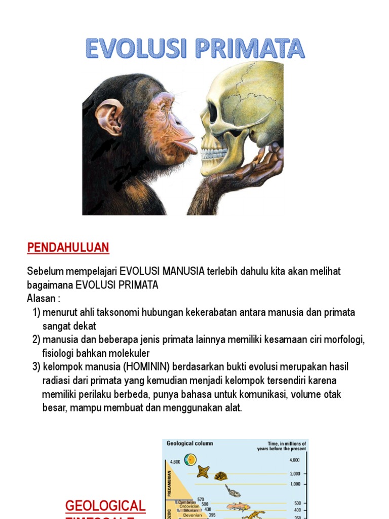 Evolusi Primata dan Manusia | PDF | Ilmu Sosial