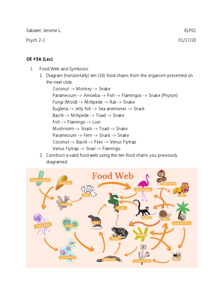 Food Webs and Symbiosis Analysis | PDF | Symbiosis | Parasitism