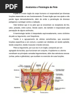 Via de ADMINISTRAÇÃO CUTÂNEA (Conteúdo Explicativo) - Profa M. Vitoria ...