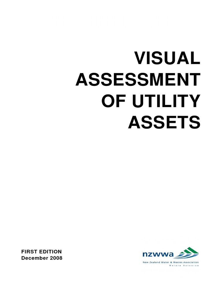 Visual Assessment Manual Final PDF Audit Information