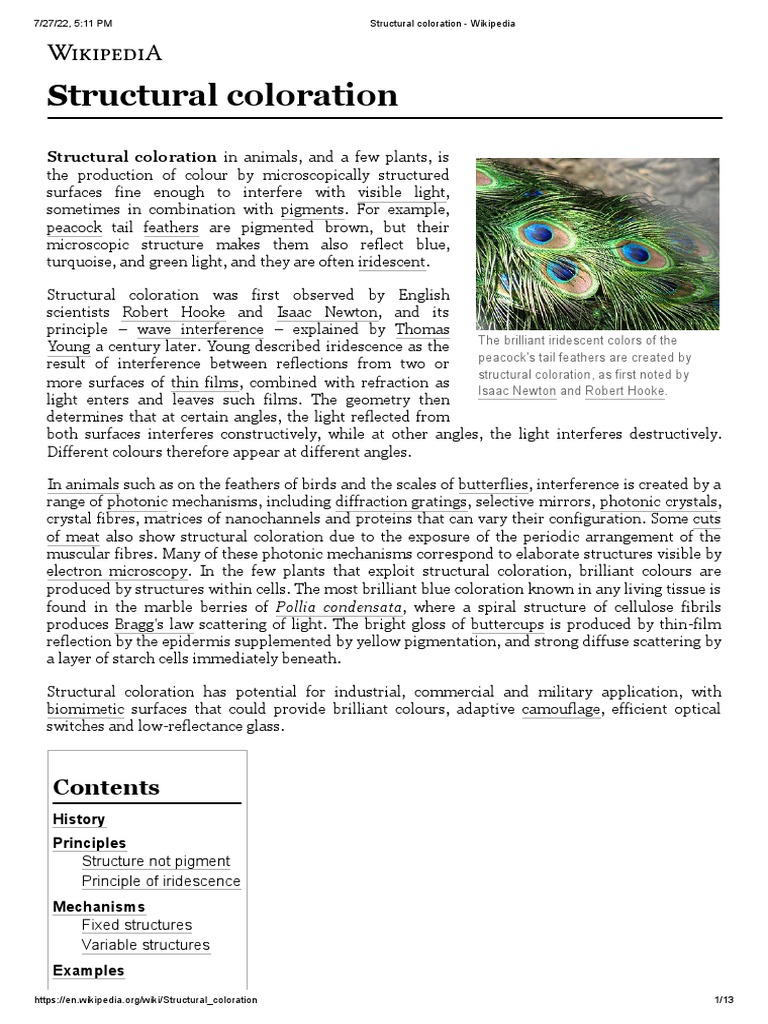 Structural coloration | PDF | Optics | Electromagnetic Radiation