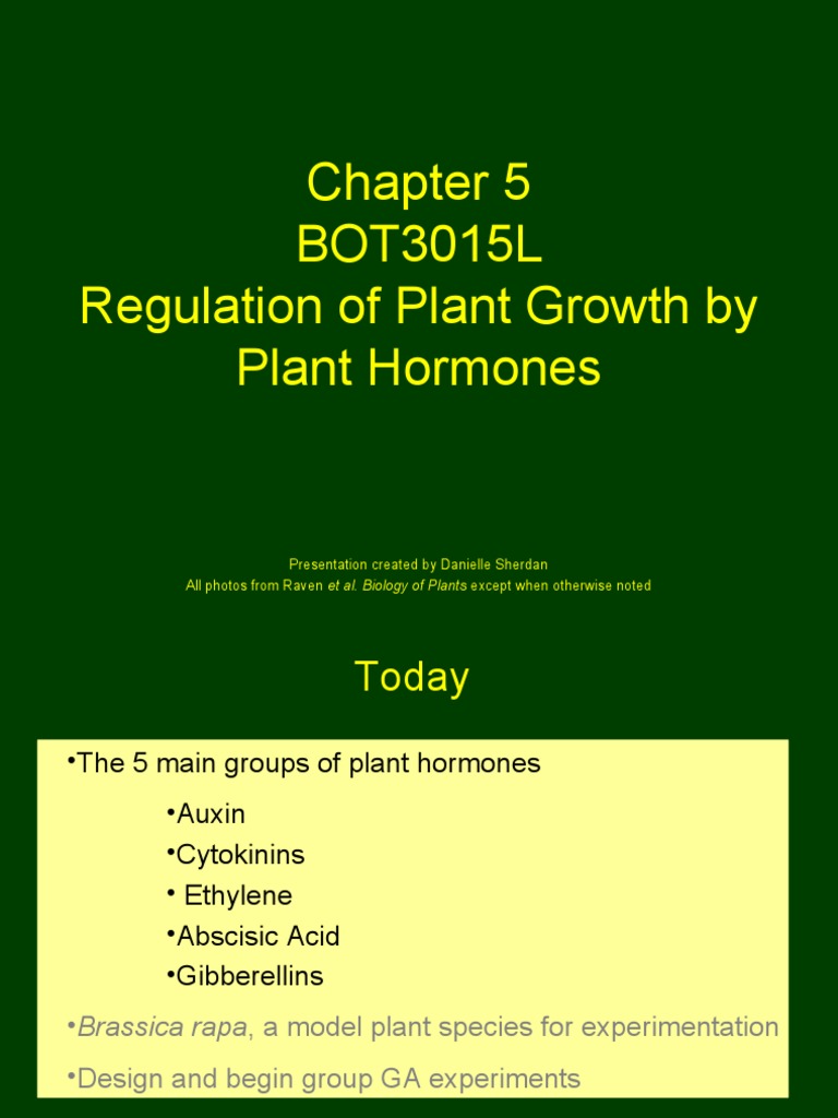 BOT3015L Regulation of Plant Growth by Plant Hormones | PDF | Auxin ...