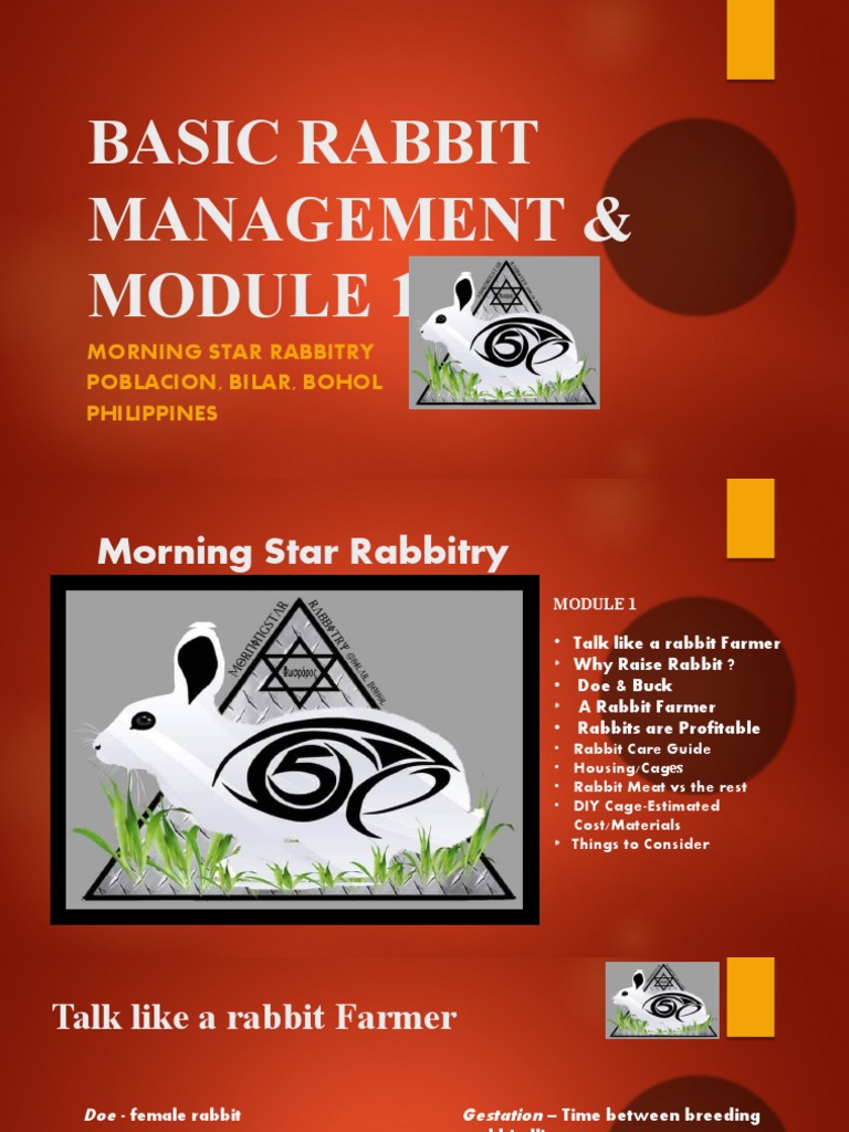 Basic Rabbit Training Module 1 | PDF | Rabbit | Reproduction