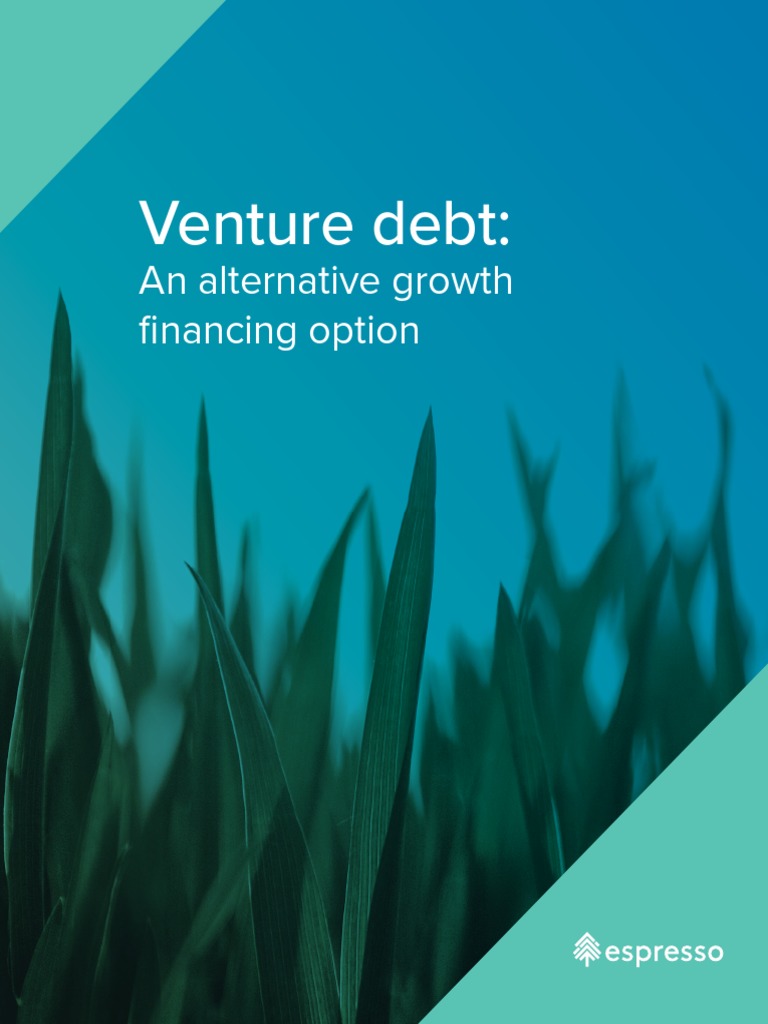 Understanding Venture Debt for Growth | PDF | Corporate Finance ...