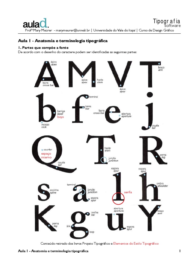 Anatomia Tipográfica