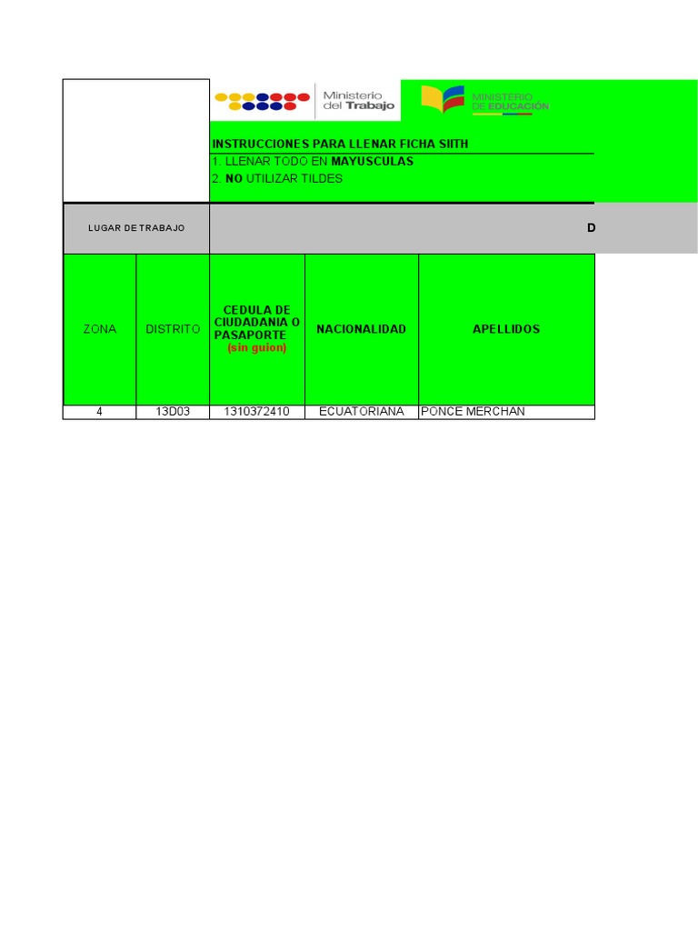Instrucciones para completar la ficha SIITH | PDF | Instituciones ...