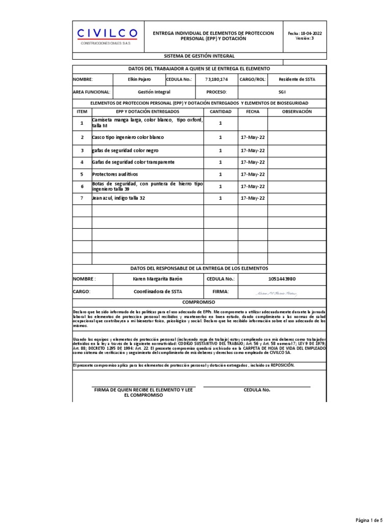 Entrega Individual de Epp v3 | PDF