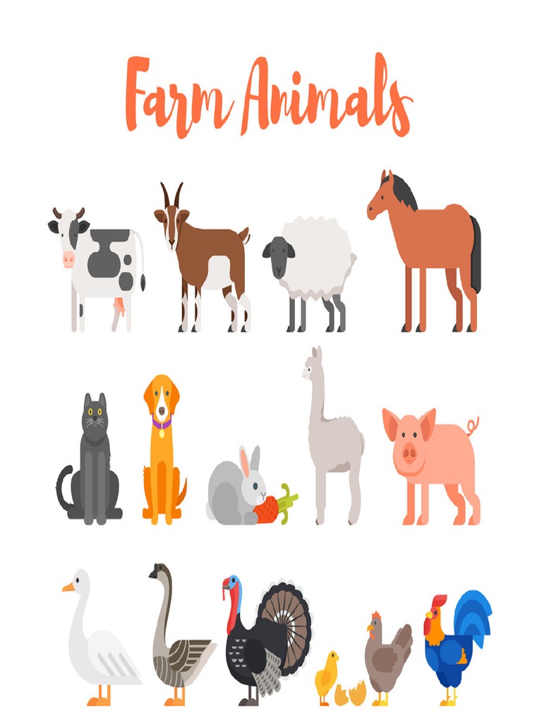 Farm Animals Picture | PDF