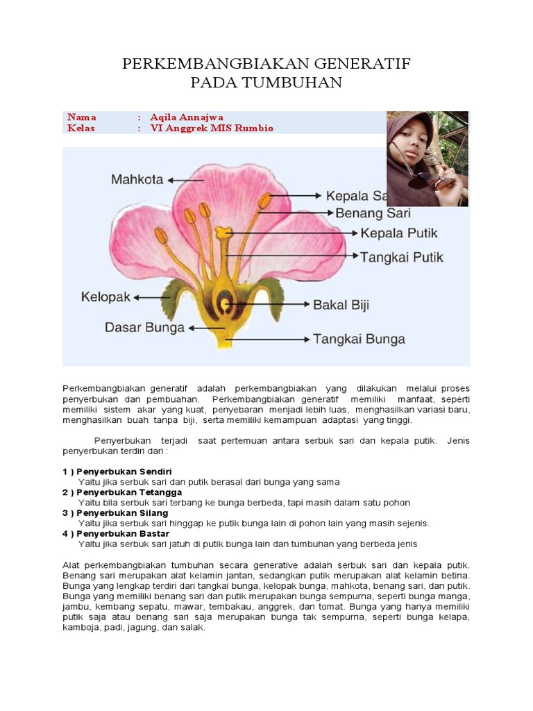 Perkembangan Generatif | PDF