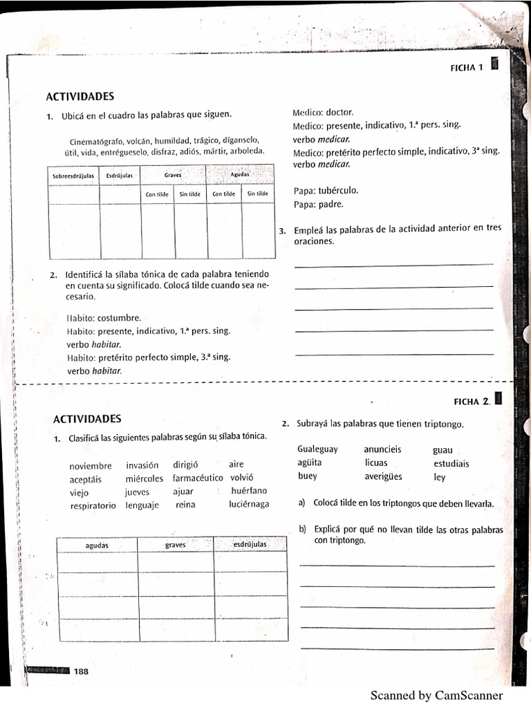 Reglas de Acentuación en Español | PDF