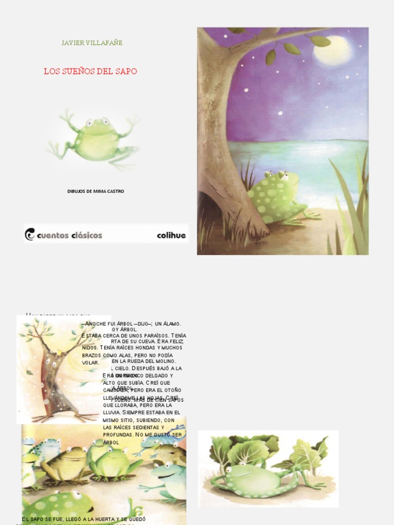 Los Sueños Del Sapo Cuento | PDF