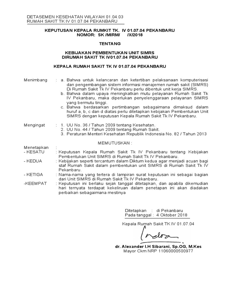 SK Pengorganisasian SIM RS | PDF