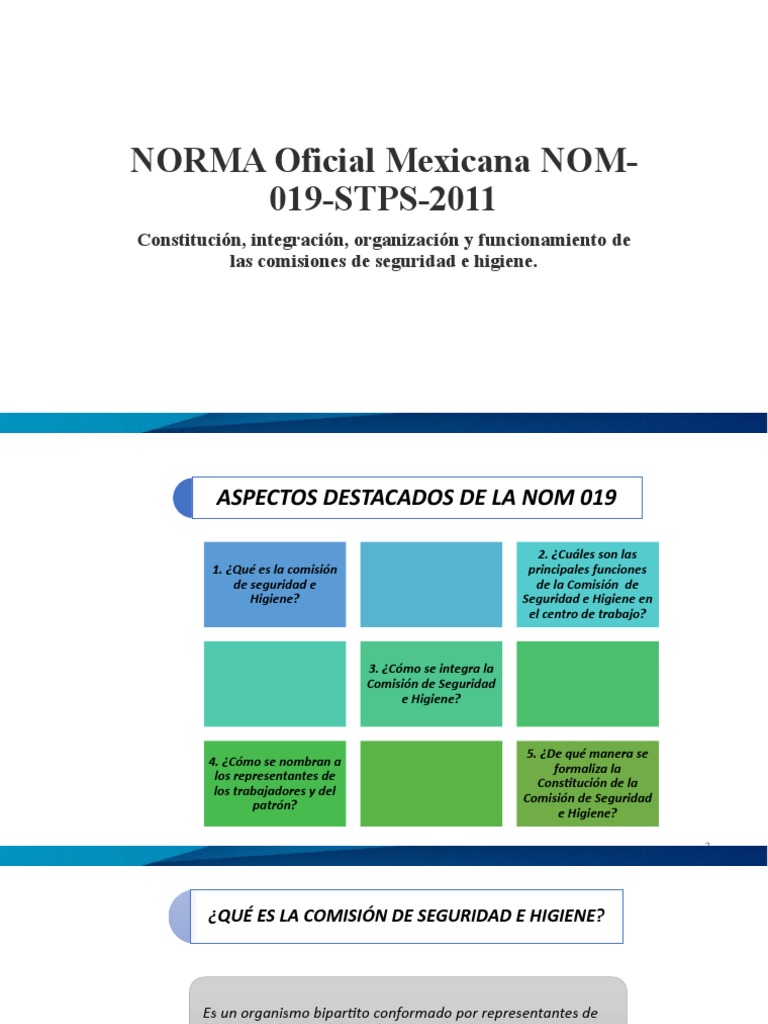 Nom 019 Stps | PDF