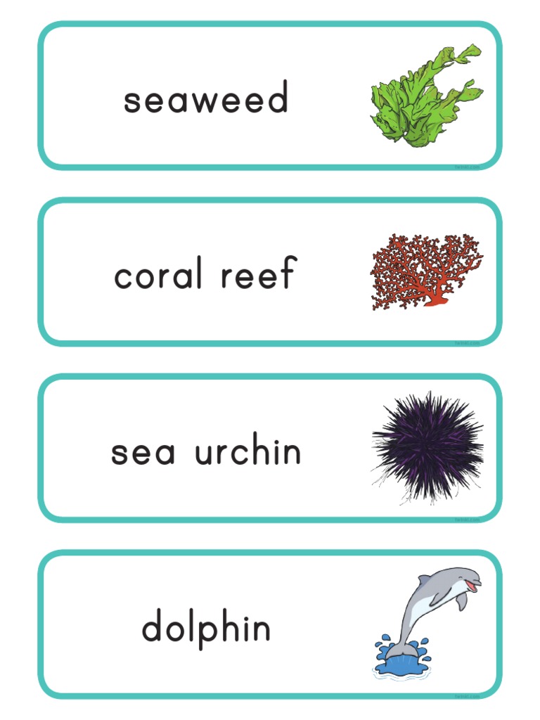 ocean-word-cards-pdf